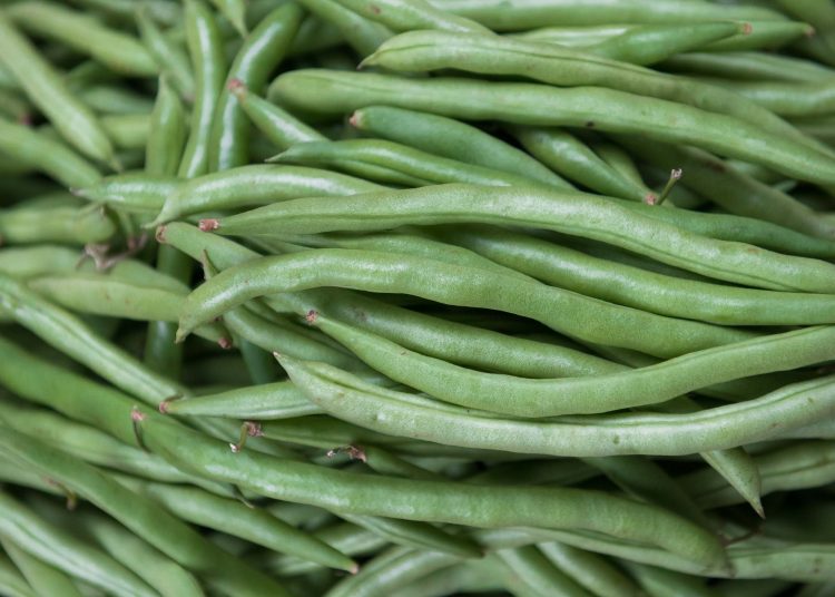 What’s the Difference Between Green Beans and Haricot Verts? - Food and ...
